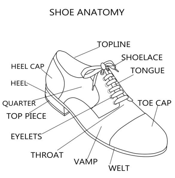 Understanding the Parts of a Shoe